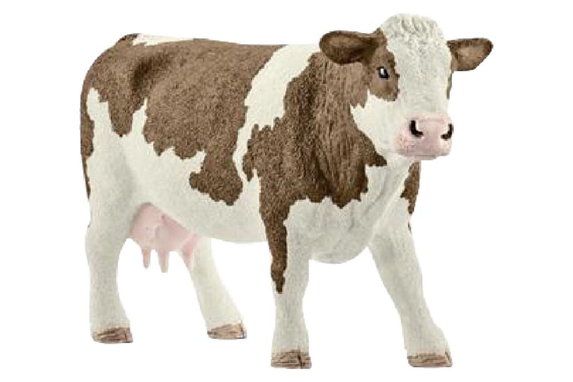 13801SCH Krowa Simmental - sklep rolniczy Korbanek