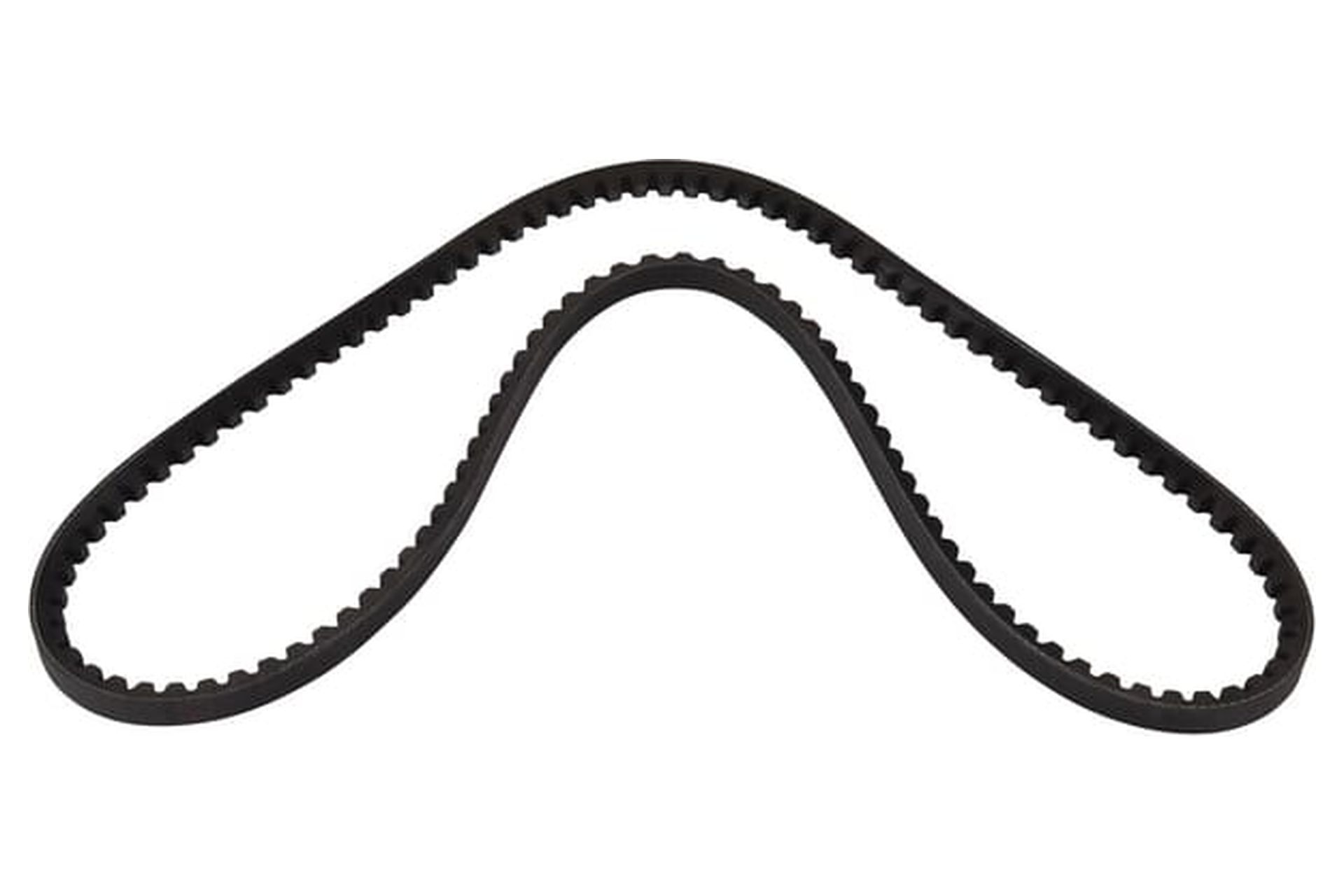 3669118M1 Belt - Korbanek farm shop