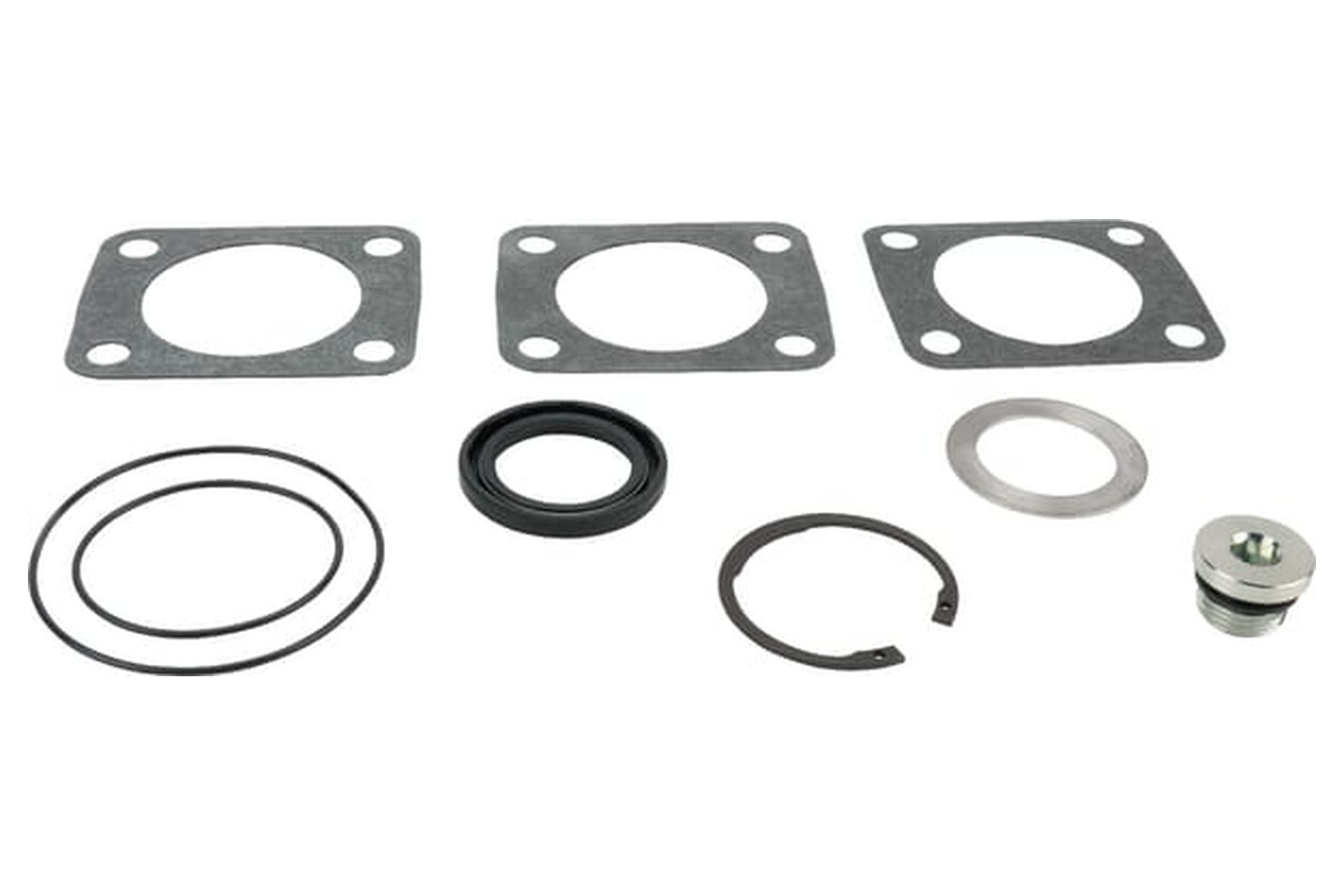 SCP9040130HNAFD Zestaw uszczelniaczy SAP/SCP 040-130 HN - sklep ...